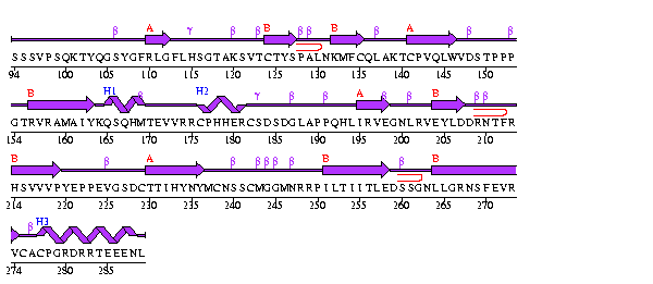 p53 structure