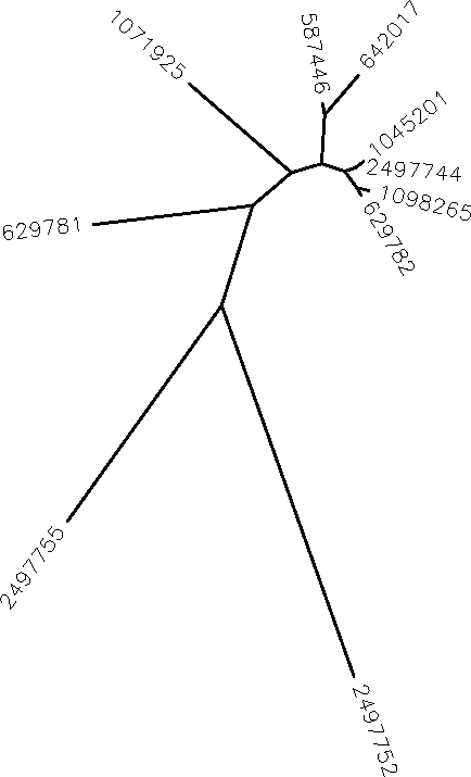 Biology WorkBench 3.0 - CLUSTAL_W