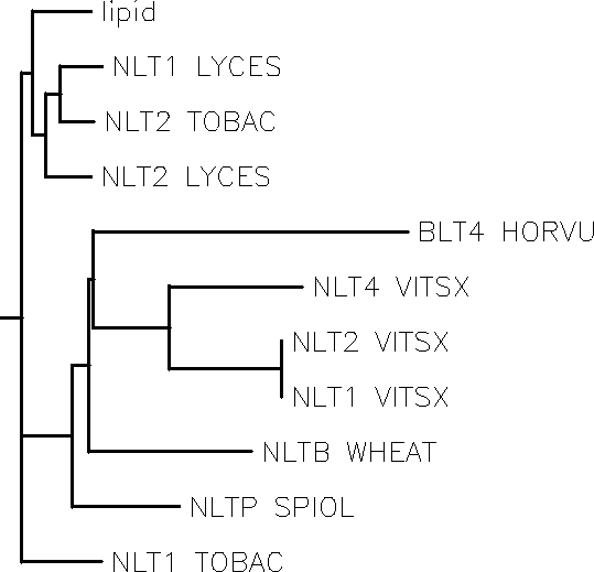 Biology WorkBench 3.0 - CLUSTAL_W