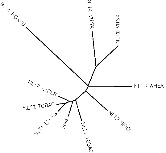 Biology WorkBench 3.0 - CLUSTAL_W