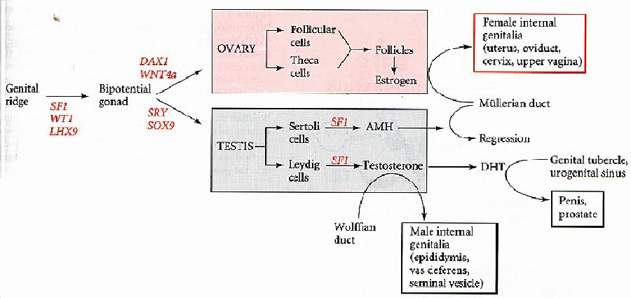 Untitled Document [webmail.life.nthu.edu.tw]