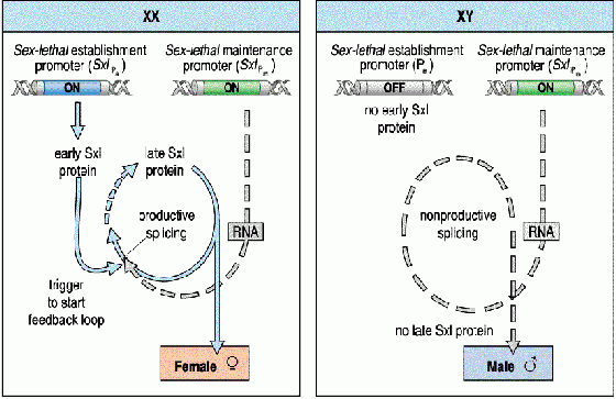 Untitled Document [webmail.life.nthu.edu.tw]