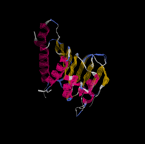 Comparative Protein Modelling by SWISS