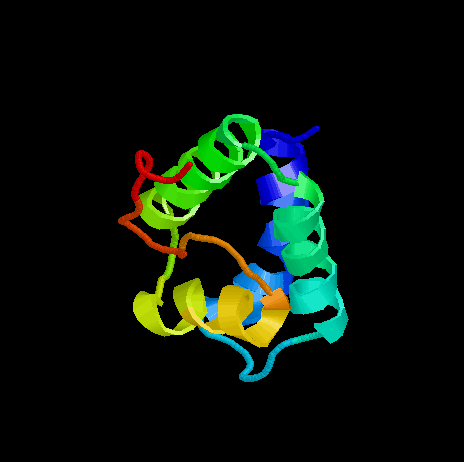 model of protein