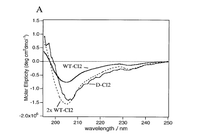CD and near-UV spectrum