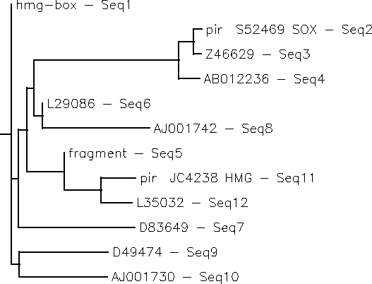 Biology WorkBench 3.0 - CLUSTAL_W