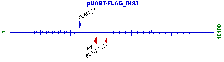 pUAST-FLAG_0483