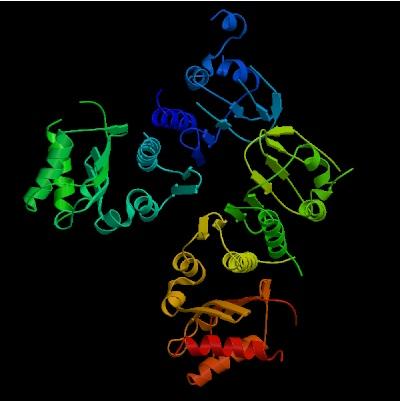 Untitled Document [webmail.life.nthu.edu.tw]